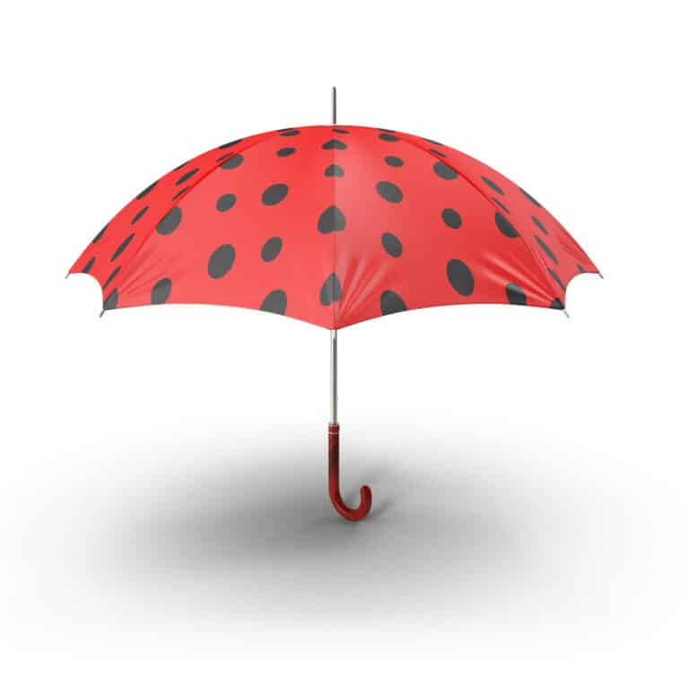 About Us | PROVEN Bank